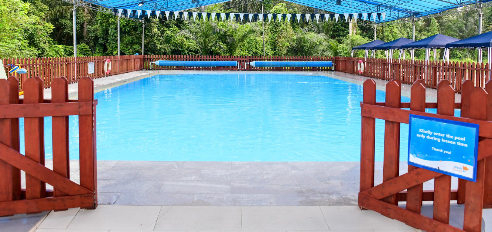 aquaDucks Swim School | Swimming lessons for all - Our Story